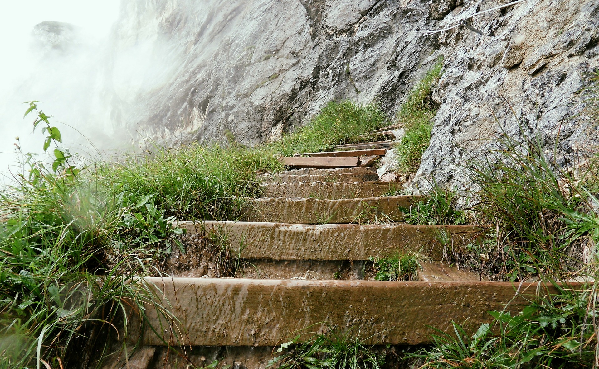 Software preservation: a stepping stone for software citation ...