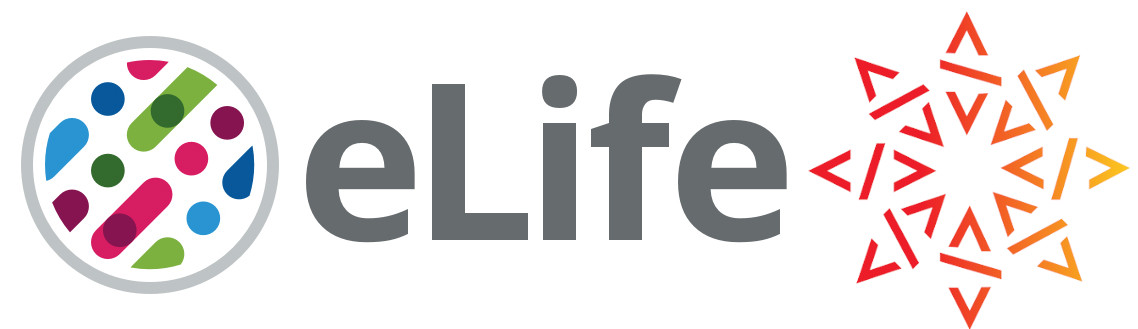 eLife archives research software in Software Heritage - Software Heritage